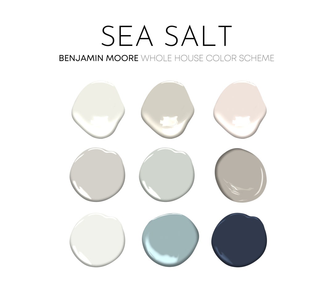 Sea Salt Benjamin Moore Paint Palette Modern Coastal - Etsy