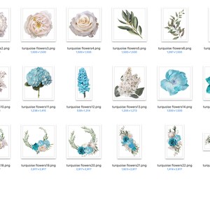 Turquoise Watercolor Floral Clipart: Aqua Flower PNG Set (digital ...