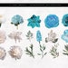Turquoise Watercolor Floral Clipart Aqua Flower Watercolor - Etsy