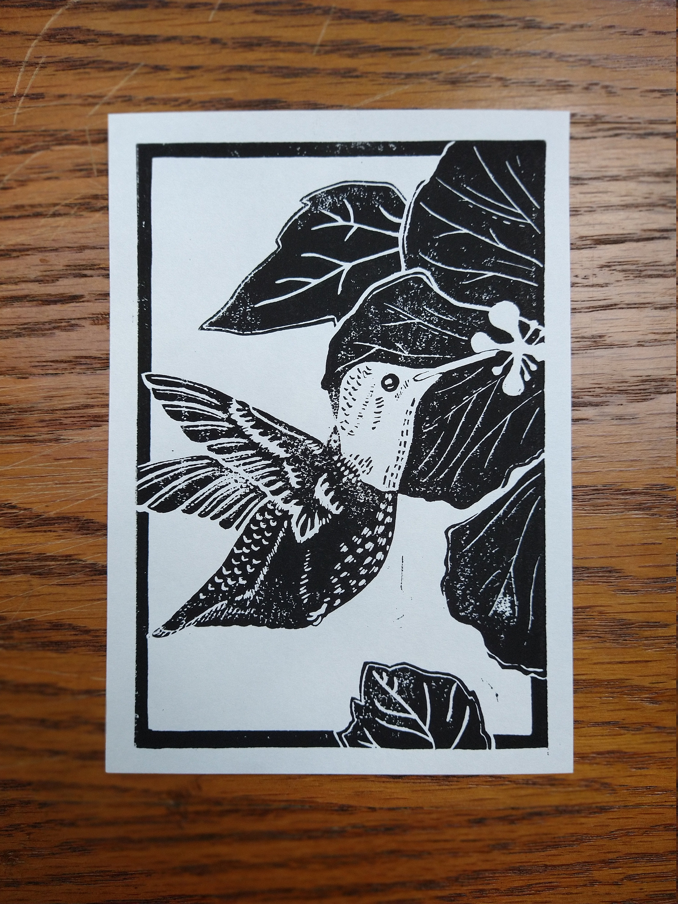 Hummingbird Linocut Print / Bird Art Print - Etsy