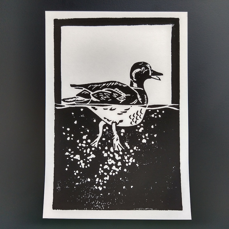 Vintage Swimming Duck Print - Etsy