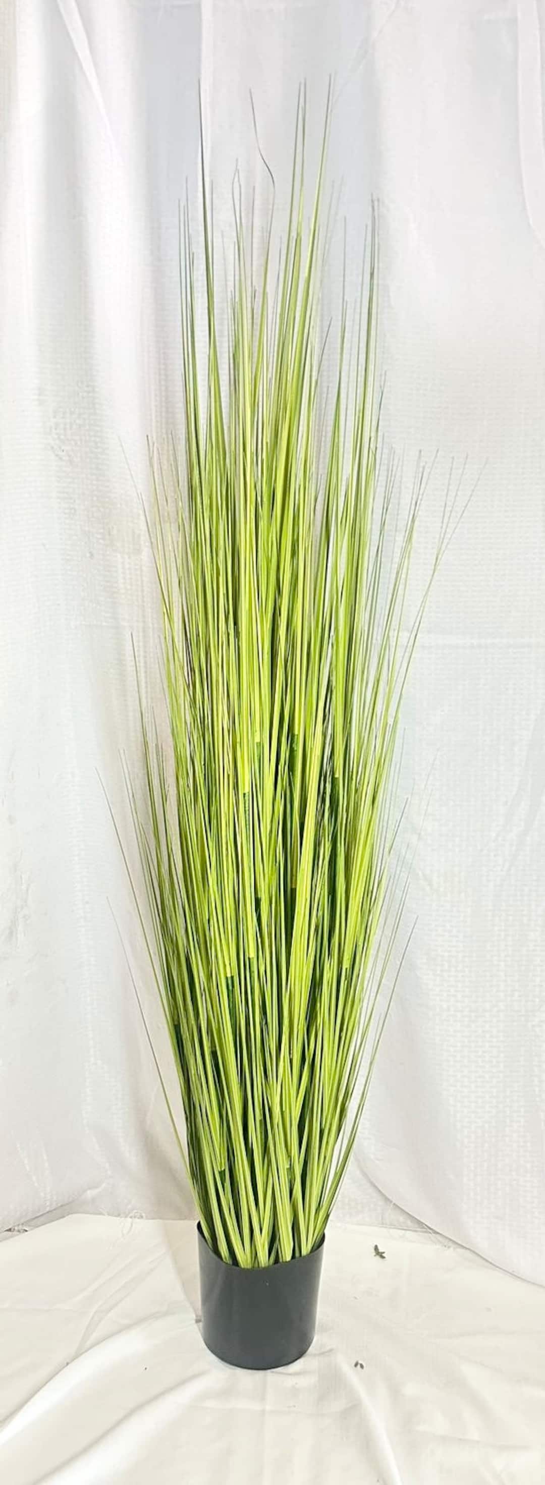 72"h Real-touched Tall Grass in Pot, Indoor-outdoor Home Decor ...