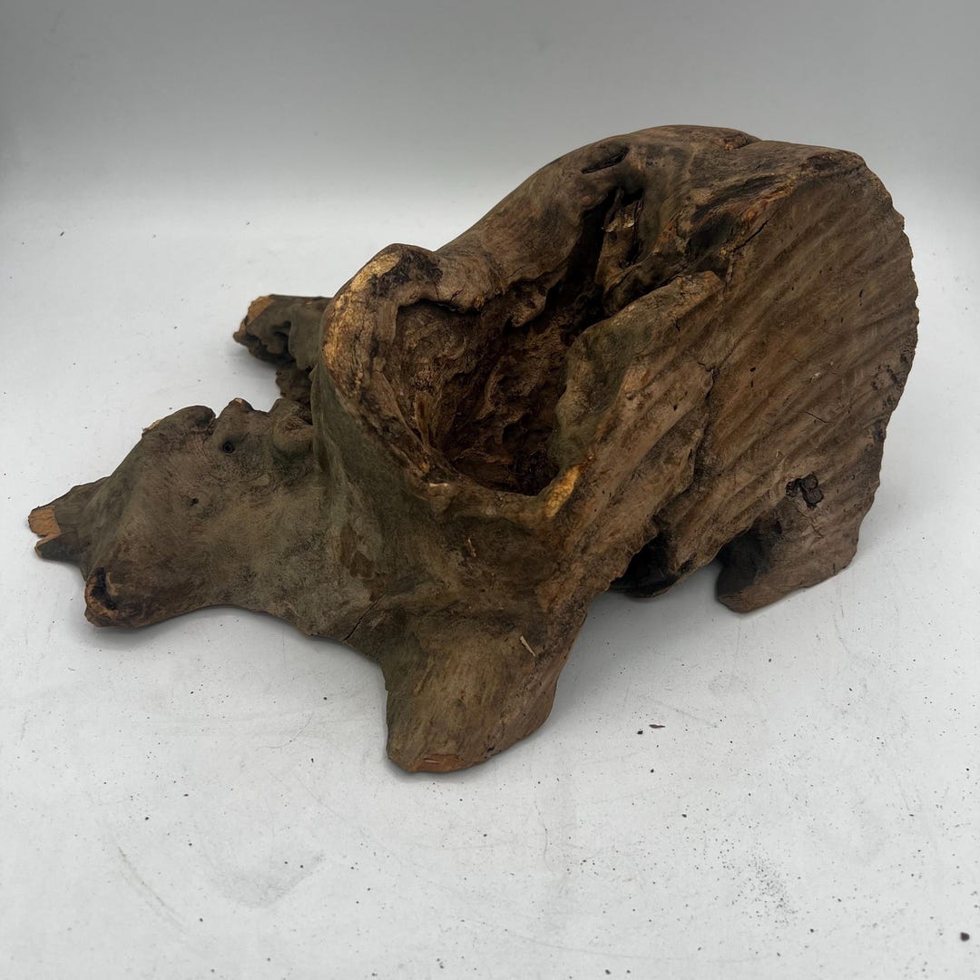 13“ Natural Wood Piece, Primitive Style, Real Tree Root Piece M038 - Etsy