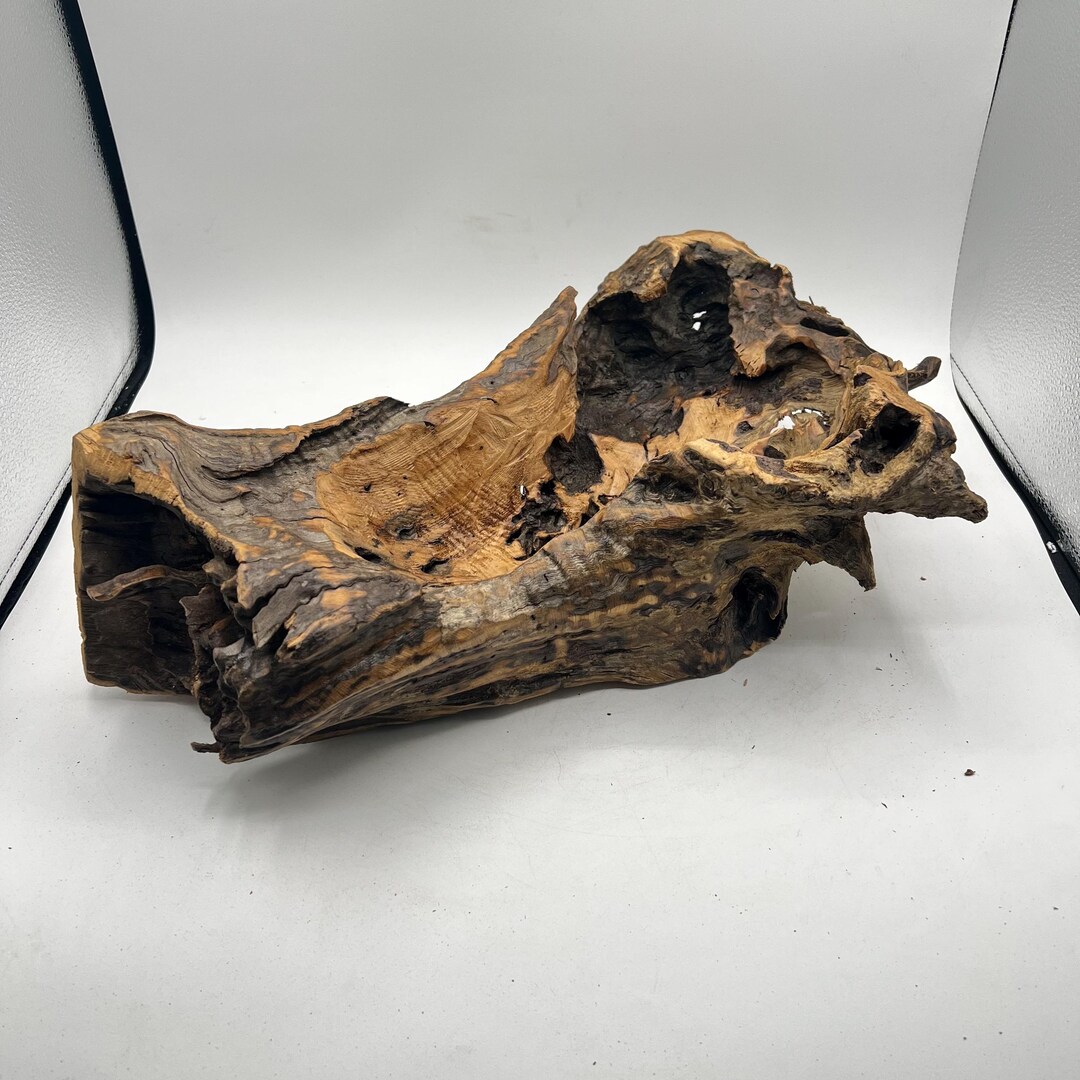 19" Natural Wood Planter, Primitive Style, Real Tree Root Planter M049 ...