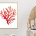 Watercolor Coral Wall Art, Red Coral Wall Prints, Modern Ocean Wall ...