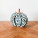 Limpet Shell Pumpkin Decor, Autumn Blue Seashell Pumpkin, Coastal ...