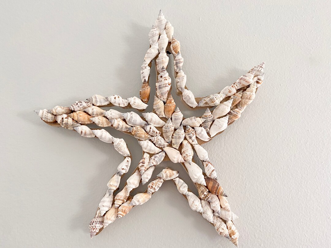 Shell Starfish Wall Decor, Sea Star Wall Art, Shell Wall Decor, Beach ...