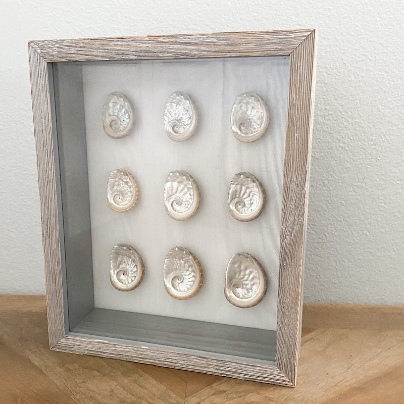 Shell Art Shadow Box - Etsy