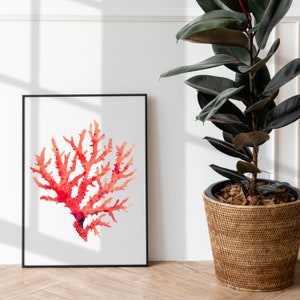 Watercolor Coral Wall Art, Red Coral Wall Prints, Modern Ocean Wall ...