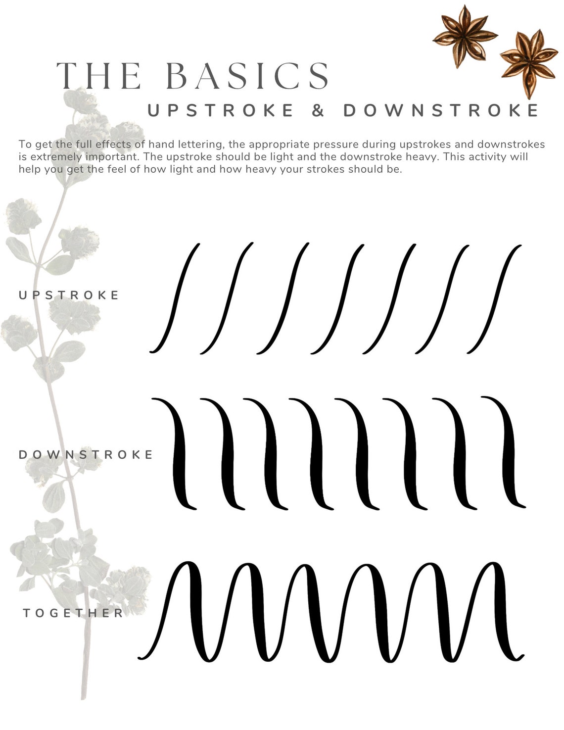 Beginner's Guide to Handlettering: Workbook for Newbies Step-by-step ...