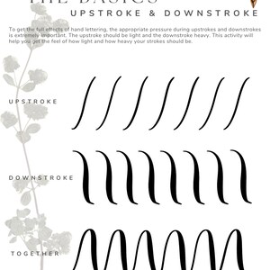 Beginner's Guide to Handlettering: Workbook for Newbies Step-by-step ...