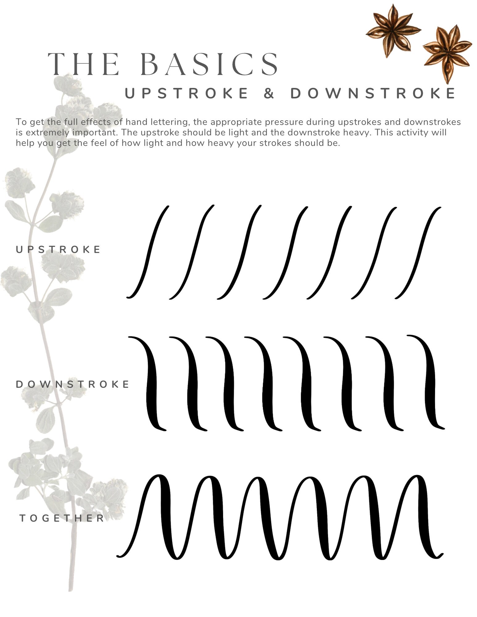 Beginner's Guide to Handlettering: Workbook for Newbies Step-by-step ...