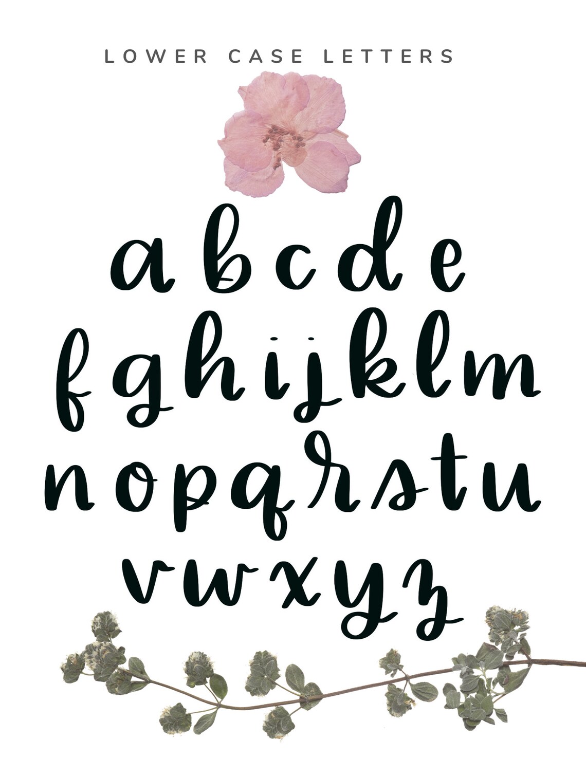 Beginner's Guide to Handlettering: Workbook for Newbies Step-by-step ...