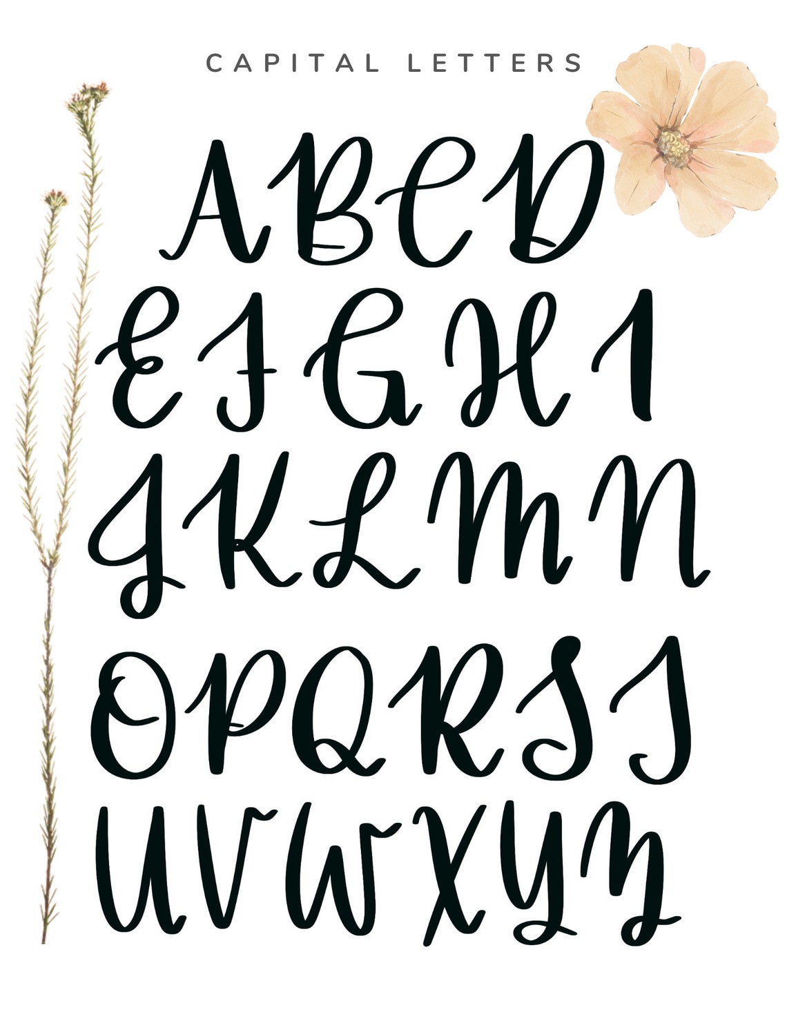 Beginner's Guide to Handlettering: Workbook for Newbies Step-by-step ...