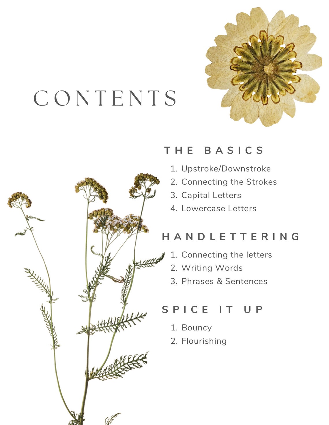 Beginner's Guide to Handlettering: Workbook for Newbies Step-by-step ...