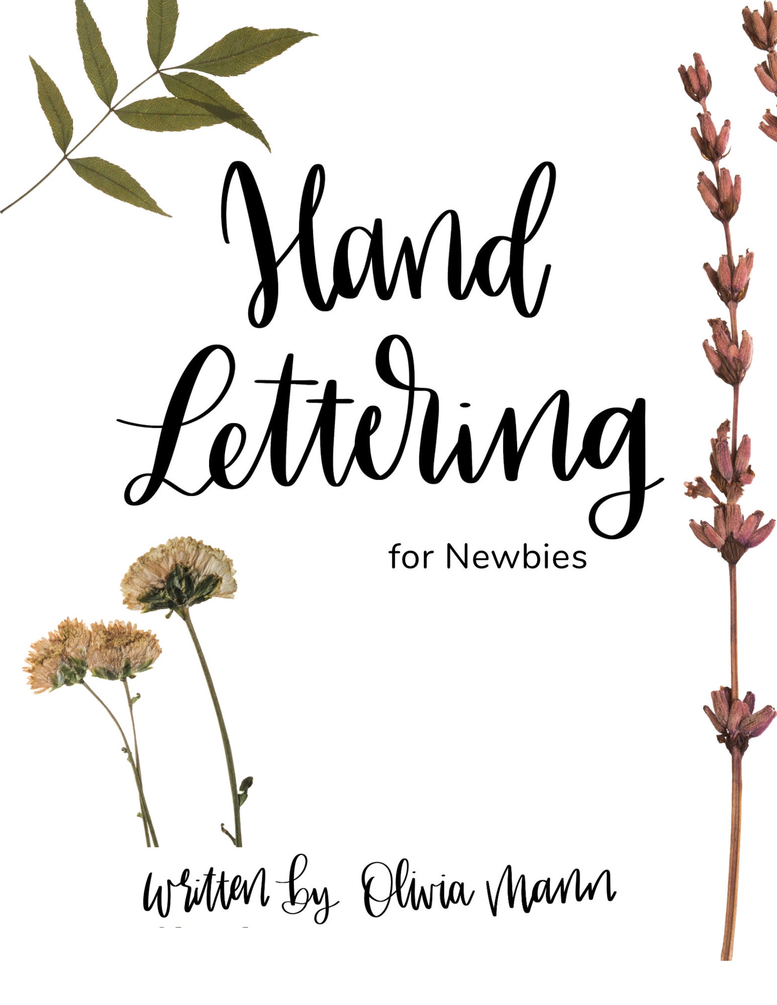 Beginner's Guide to Handlettering: Workbook for Newbies Step-by-step ...