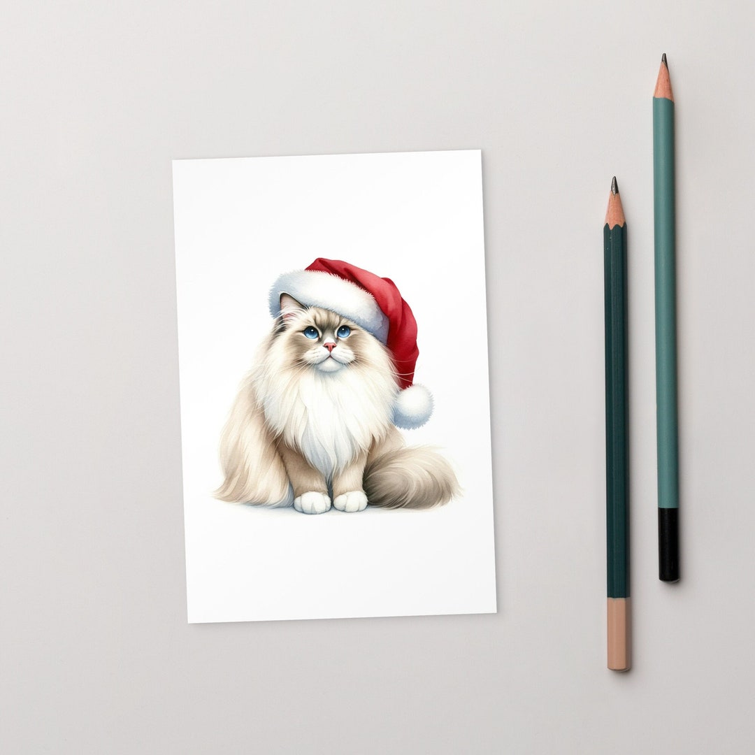 Ragdoll Cat in Santa Hat Christmas Watercolor Festive Feline - Etsy