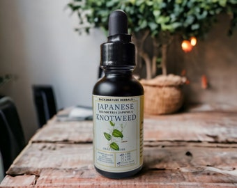 Japanese Knotweed/ Extract // Organic 1 Oz. - Etsy