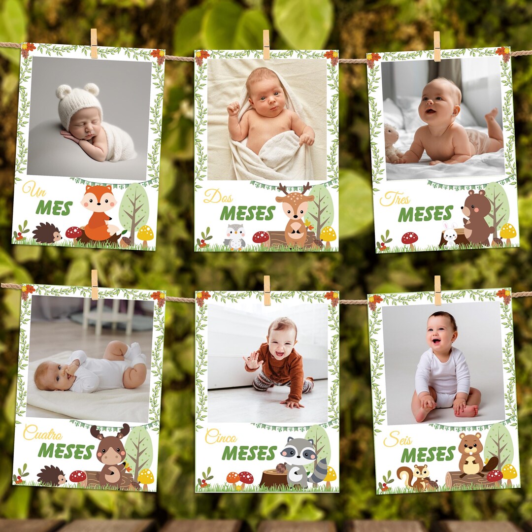 Printable Banner Printable Forest Animals Photo Cards 12 Months Baby ...