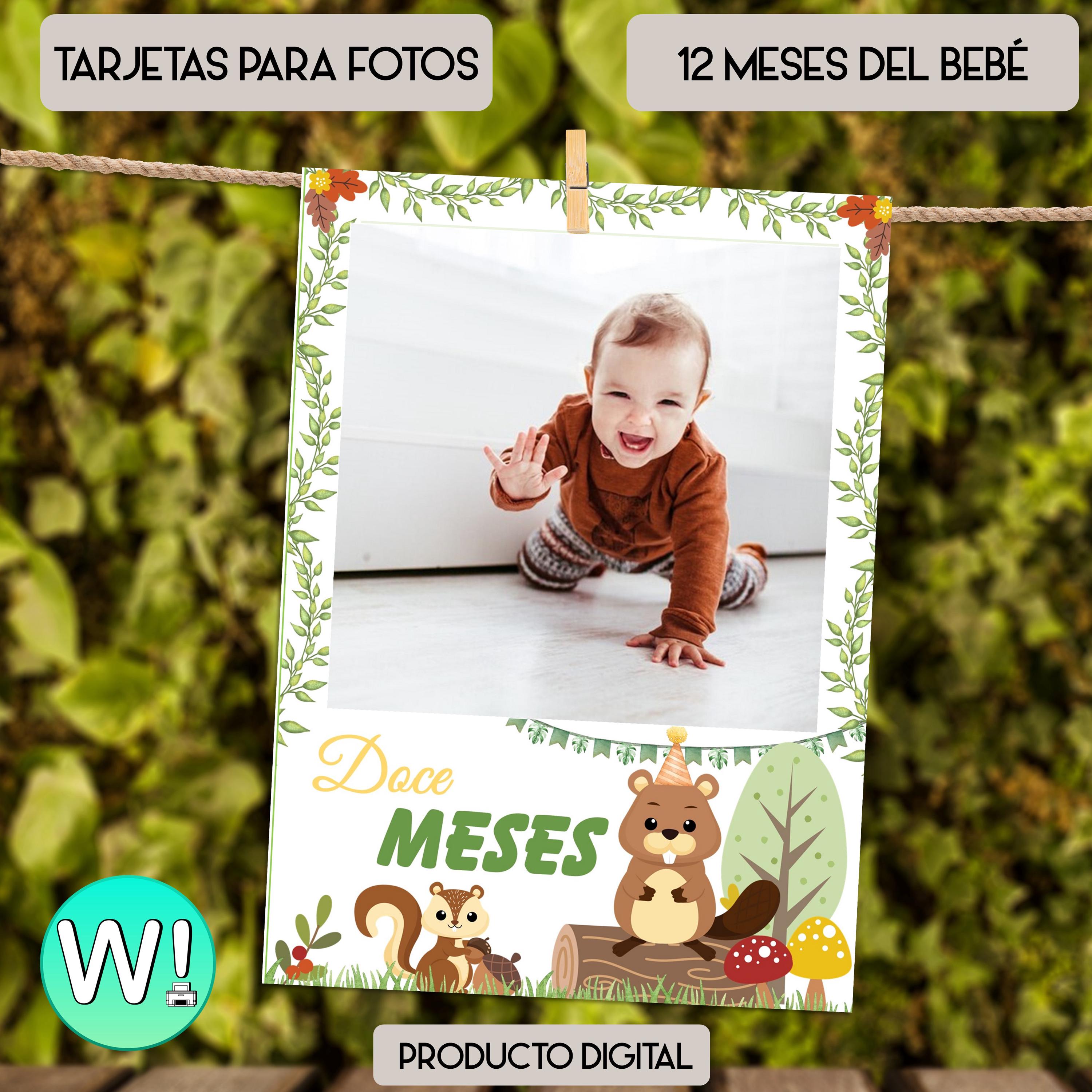 Printable Banner Printable Forest Animals Photo Cards 12 Months Baby ...