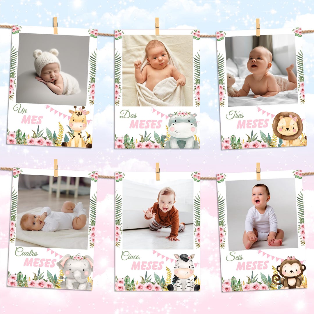 Printable Banner Printable Pink Safari Photo Cards 12 Months Baby ...