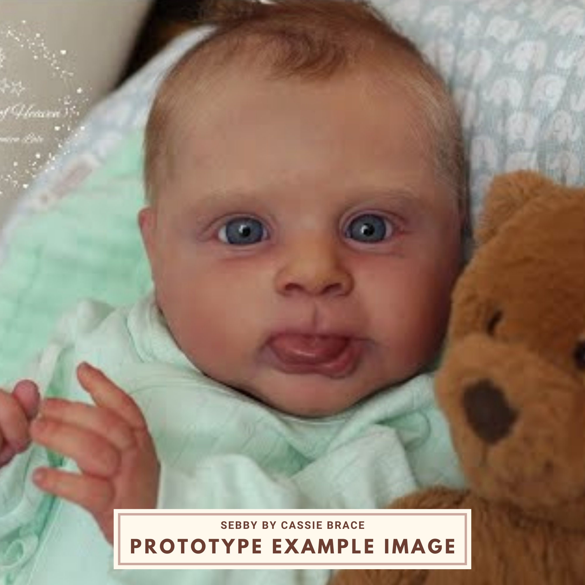CUSTOM ORDER Sebby by Cassie Brace, Reborn Baby Doll Limited Edition ...