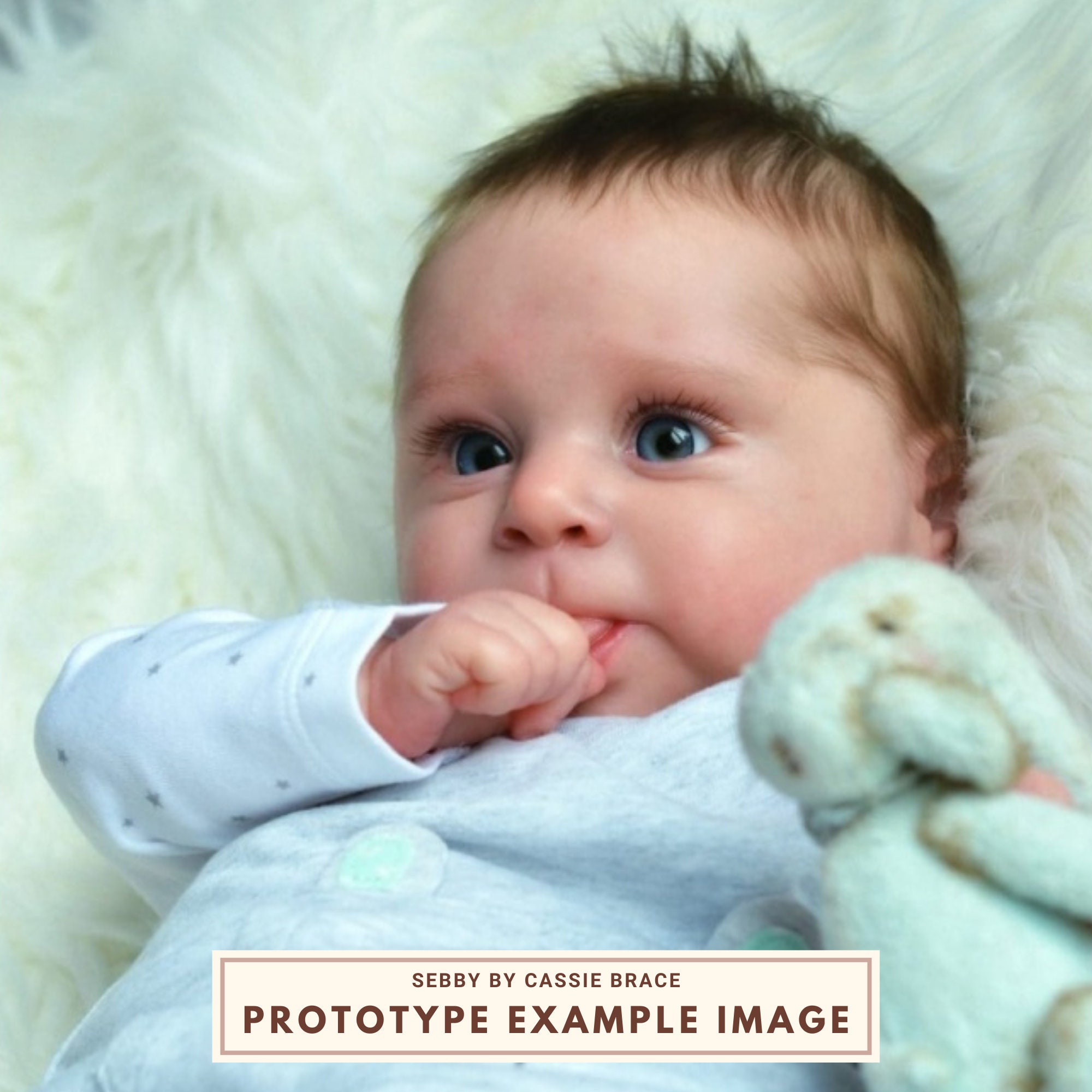 CUSTOM ORDER Sebby by Cassie Brace, Reborn Baby Doll Limited Edition ...