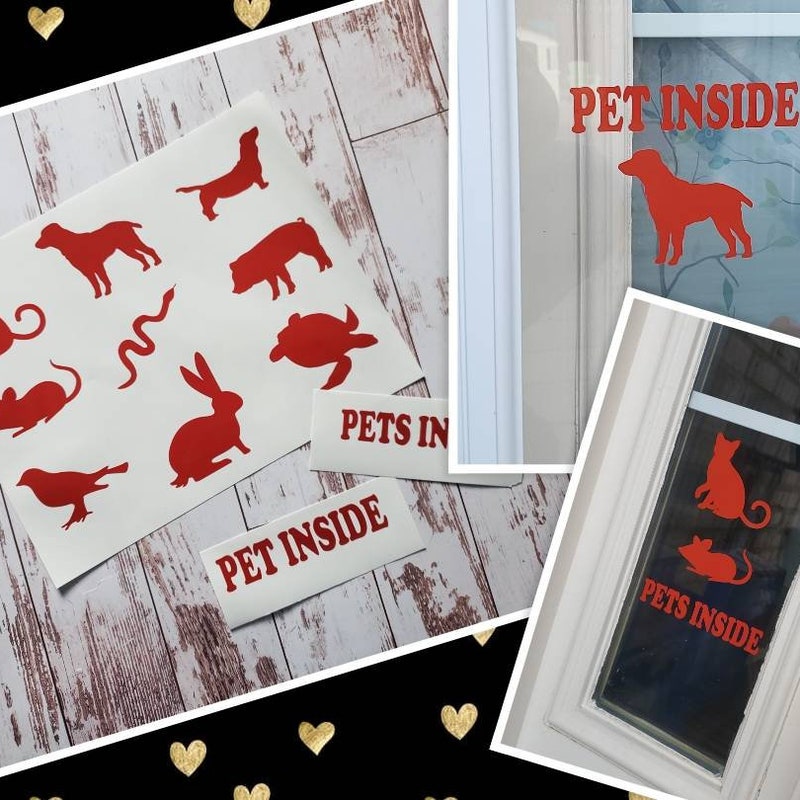 Pet Inside Sticker - Etsy