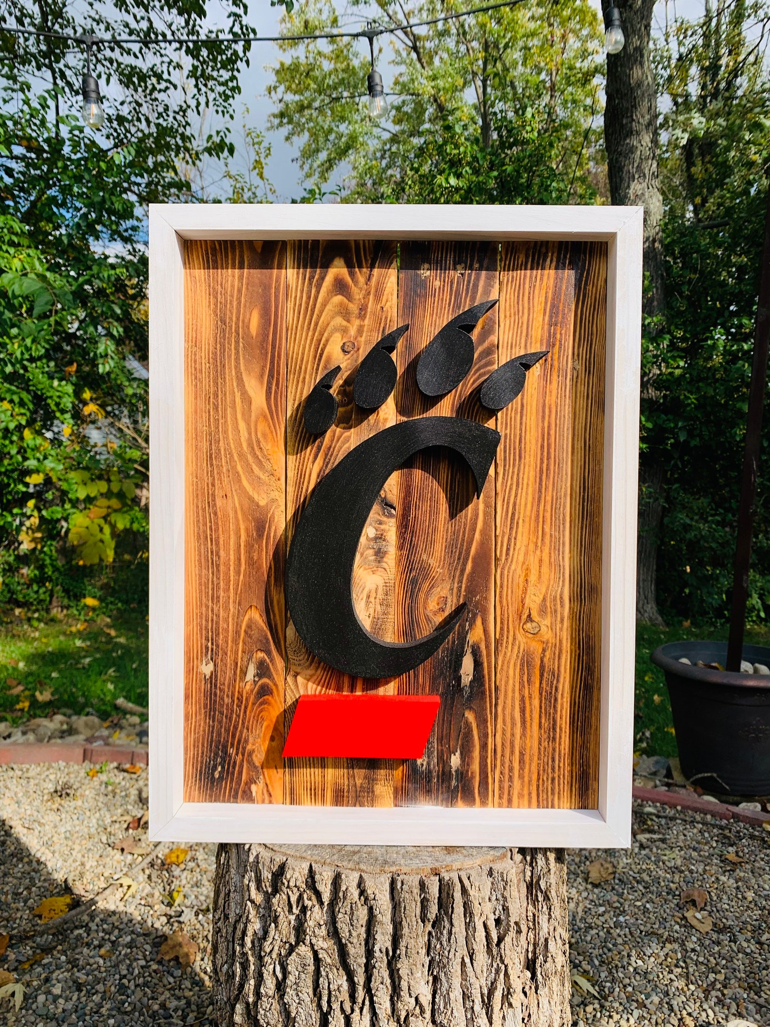 University of Cincinnati c-paw Wall Sign - Etsy
