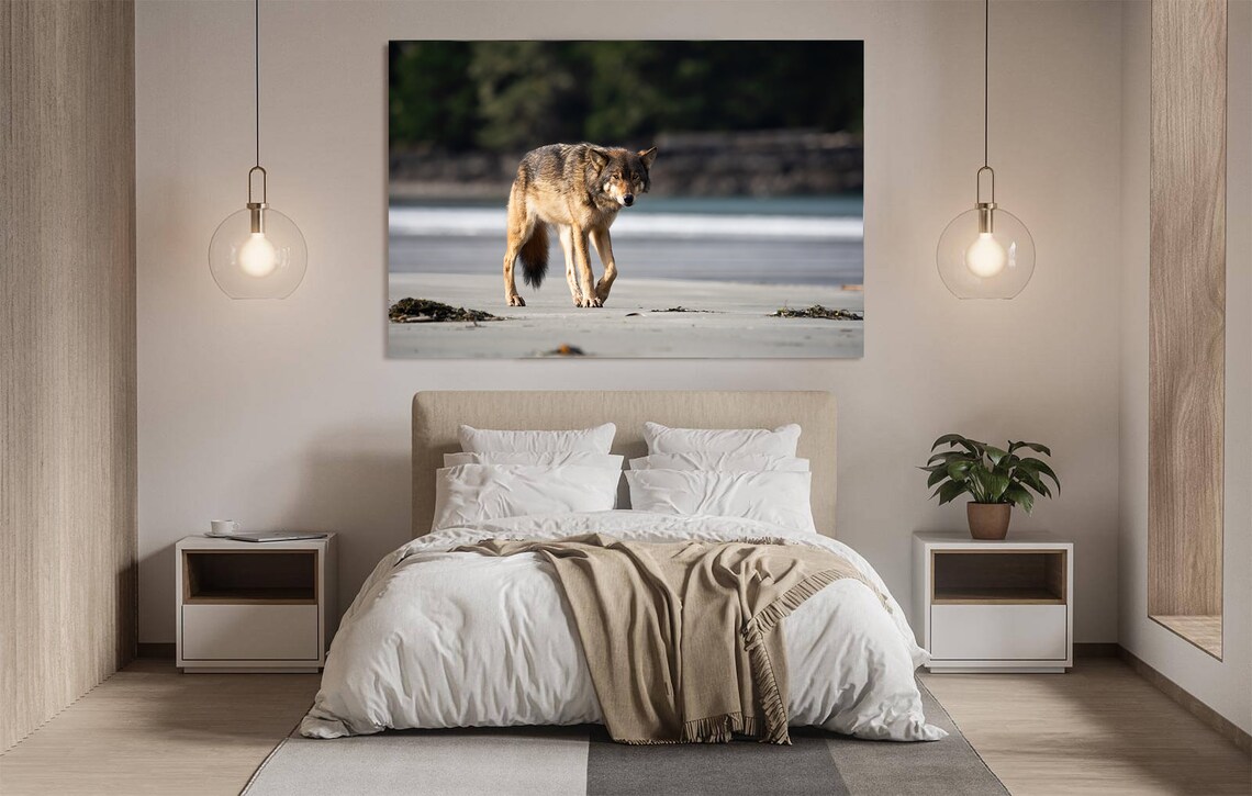 The Sea Wolf, Tofino. Canvas, Metal, Acrylic and Photo Prints - Etsy