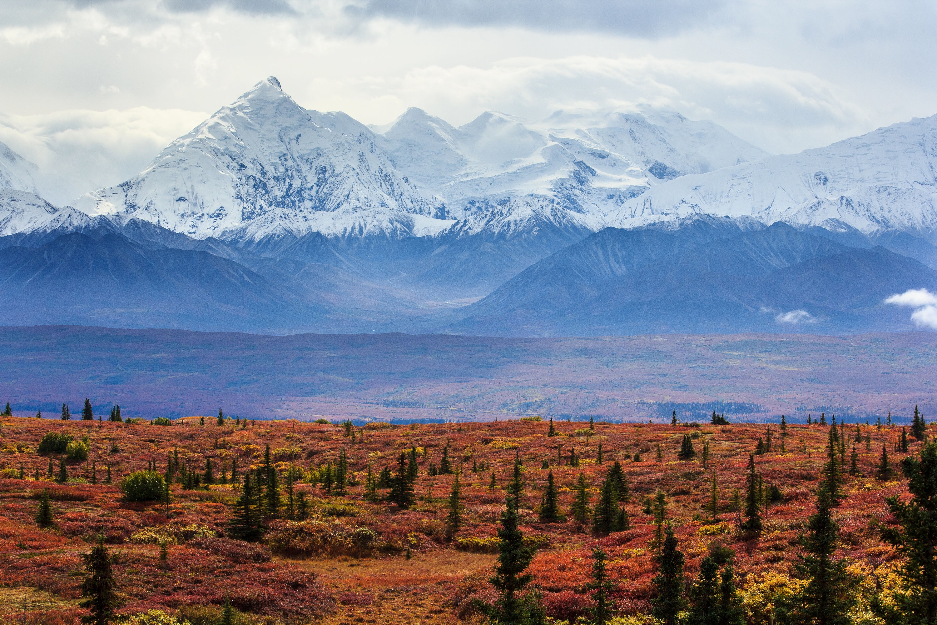 Fall Colors in Alaska. Canvas, Metal, Acrylic and Photo Prints - Etsy