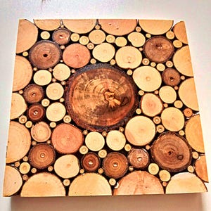 Rustic Wooden Bases: A Perfect Canvas for Your Moss & Plant Creations ...