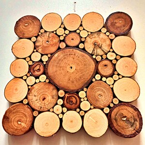 Rustic Wooden Bases: A Perfect Canvas for Your Moss & Plant Creations ...