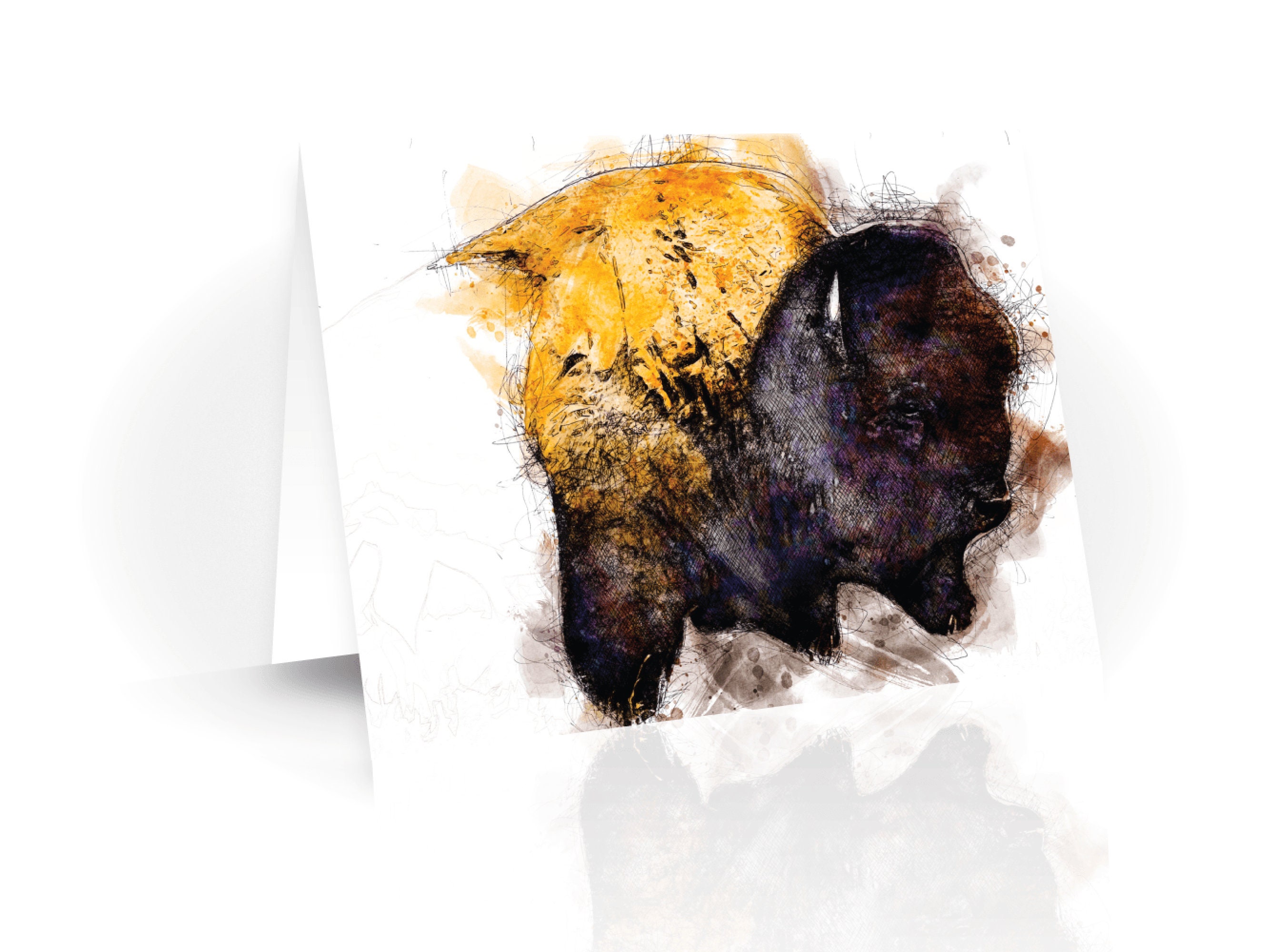 Buffalo Pen & Ink and Watercolor Sketch Design Greeting Cards - Etsy