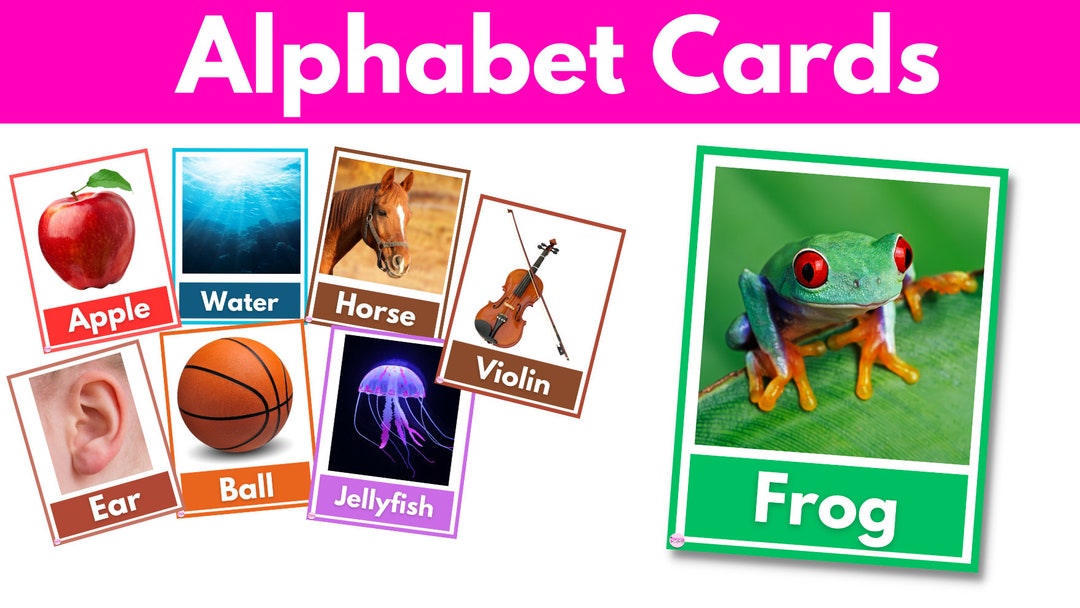 Realistic Alphabet Card Set for Childcare, Daycare, and Preschool ...