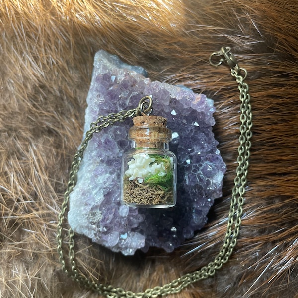 Vertebrae - Etsy