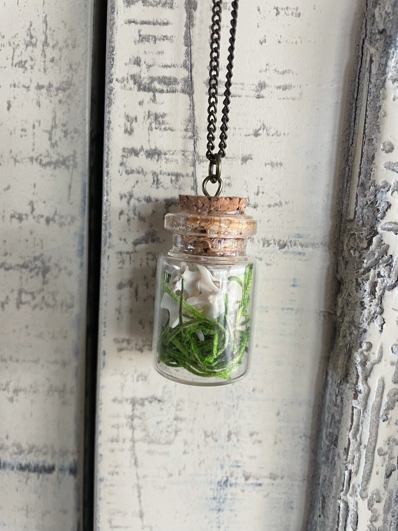 Real Rattlesnake Vertebrae Moss Bottle Necklace - Etsy