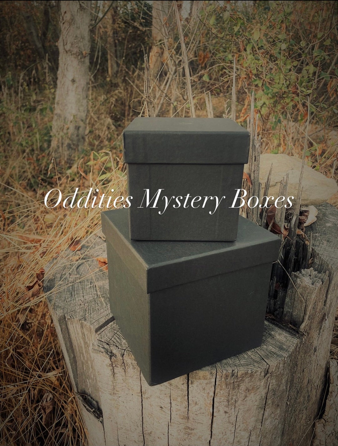Oddities Mystery Box - Etsy