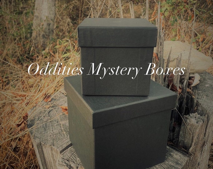Bone, Skulls, and Oddities Mystery Bag - Etsy
