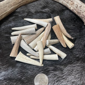 20 Pieces Real Antler Tips - Etsy