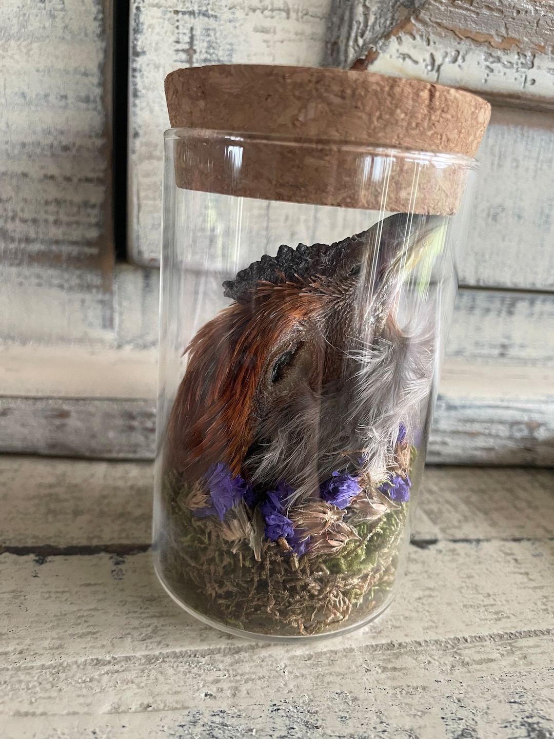 Chicken Head Jar With Moss and Flowers - Etsy