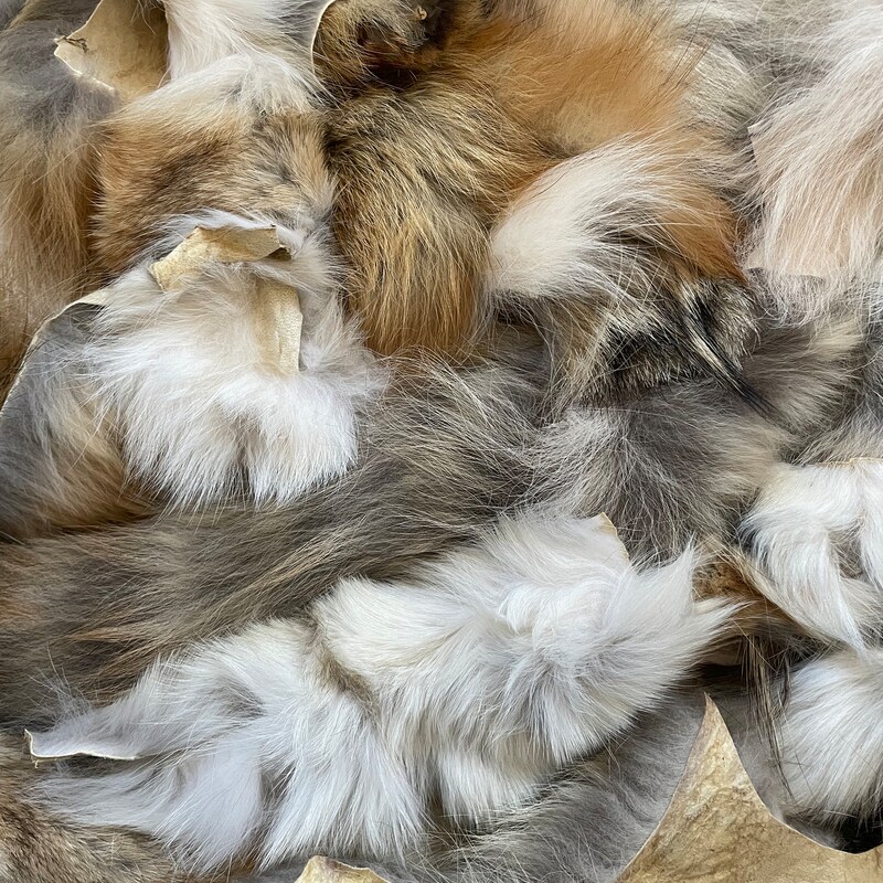 Coyote Pelts - Etsy