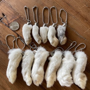 Real Rabbit Foot Keychains Sustainably Sourced - Etsy