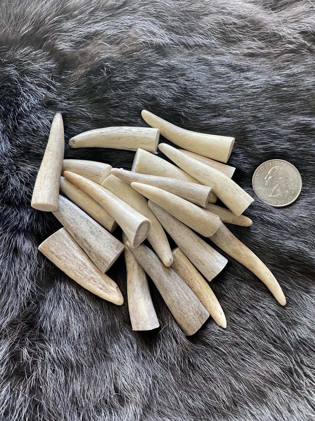 20 Pieces Real Antler Tips - Etsy