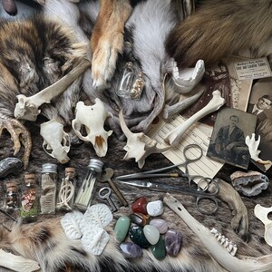 Oddities Mystery Box - Etsy