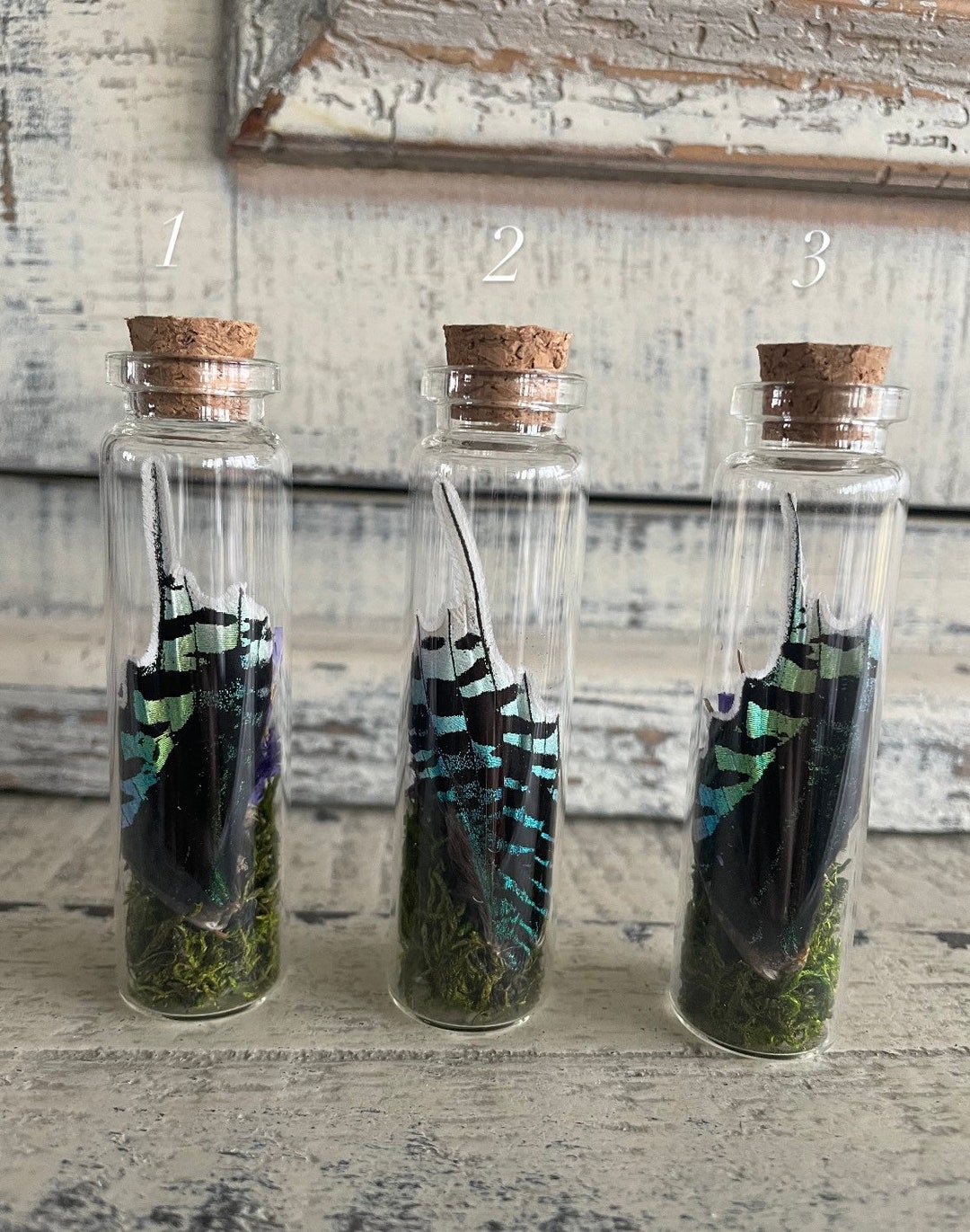 Butterfly Wing Bottle With Moss and Dried Flowers - Etsy