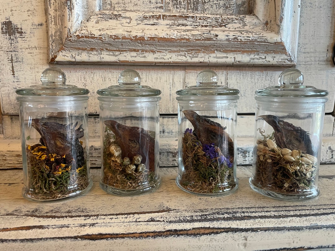Small Chicken Head Jars With Moss and Flowers - Etsy