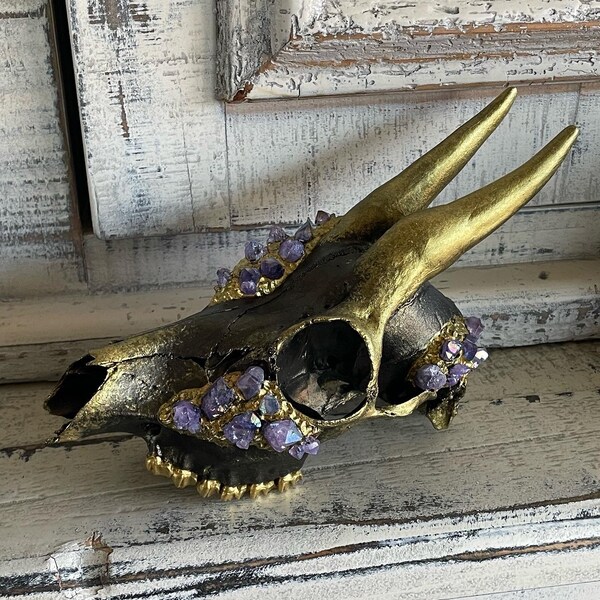Deer Skull Art - Etsy