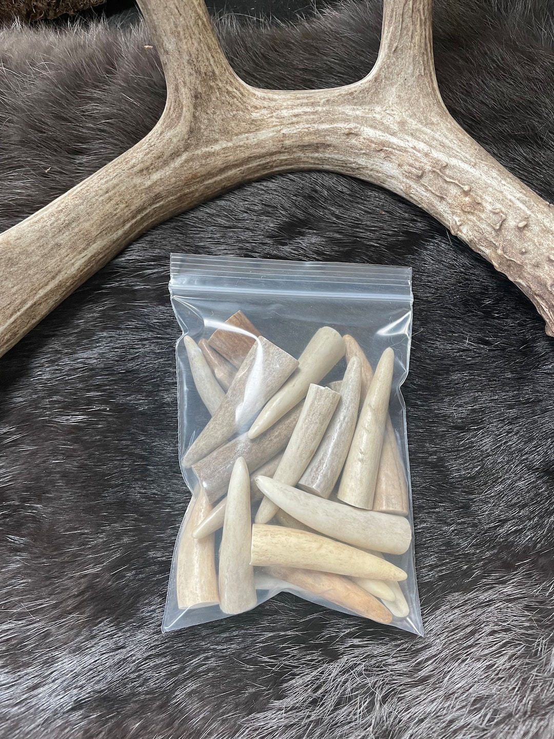 20 Pieces Real Antler Tips - Etsy