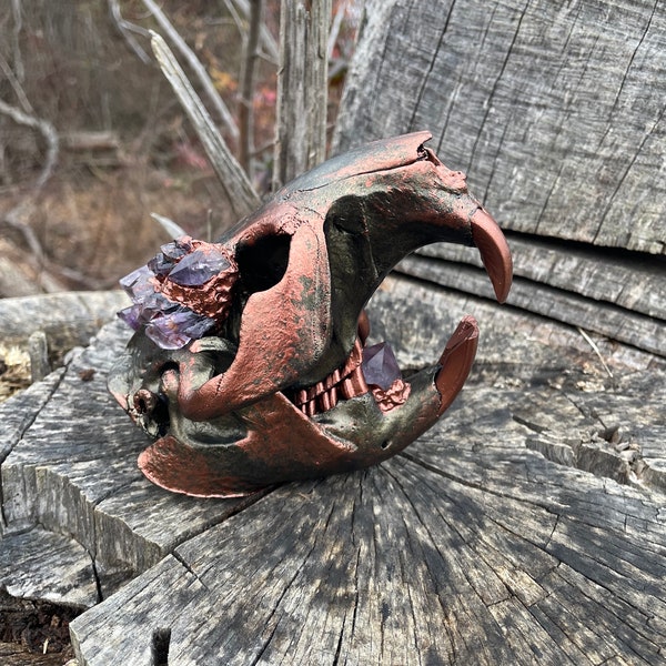 Beaver Skull - Etsy